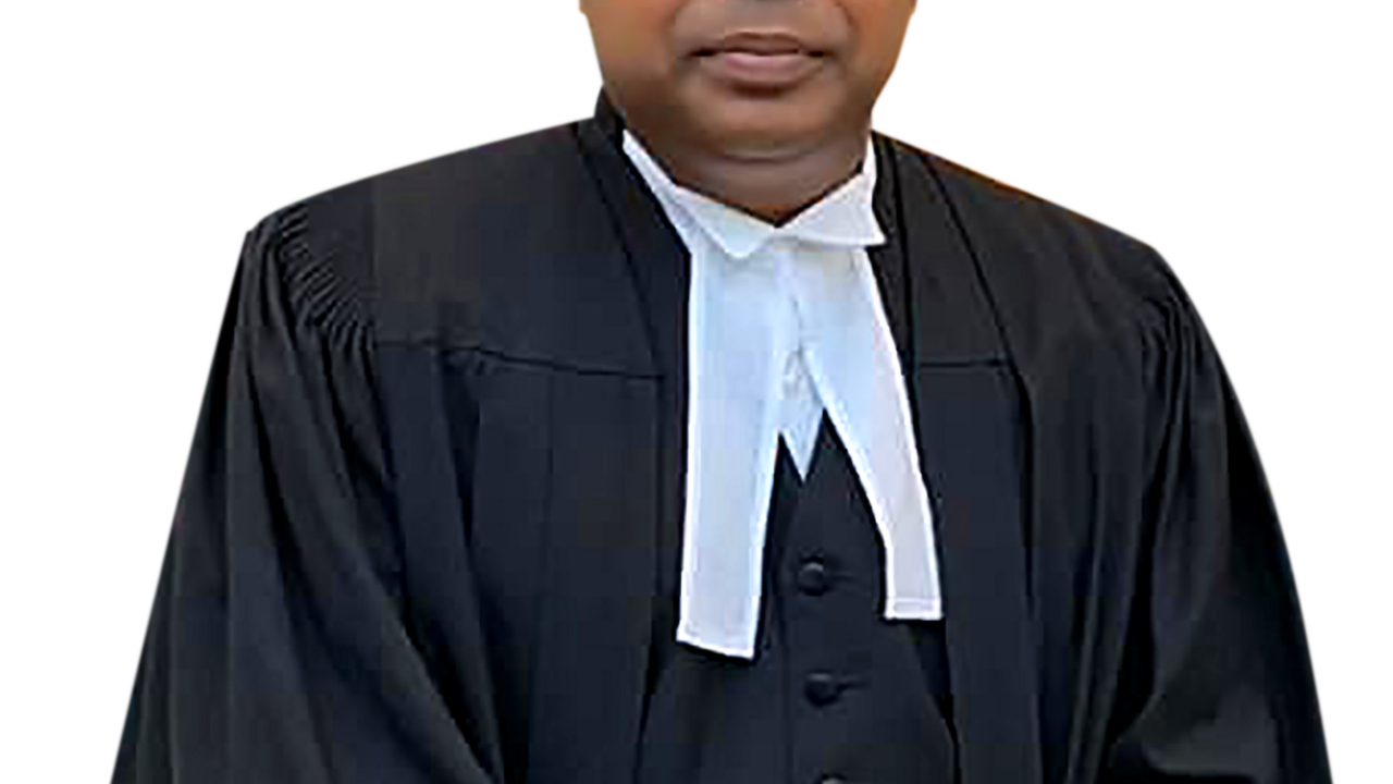 Your Guide to Specializing in Refugee and Immigration Law